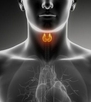13 trucos para tratar el hipotiroidismo – Ecoterapeuta